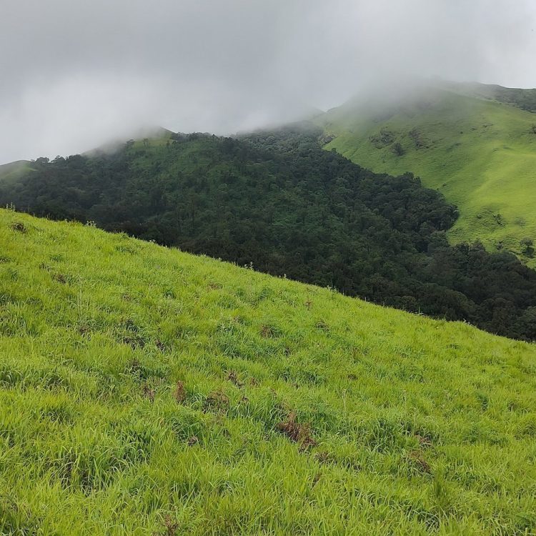 Netravati Trek Booking | Book The Trek at Affordable Price